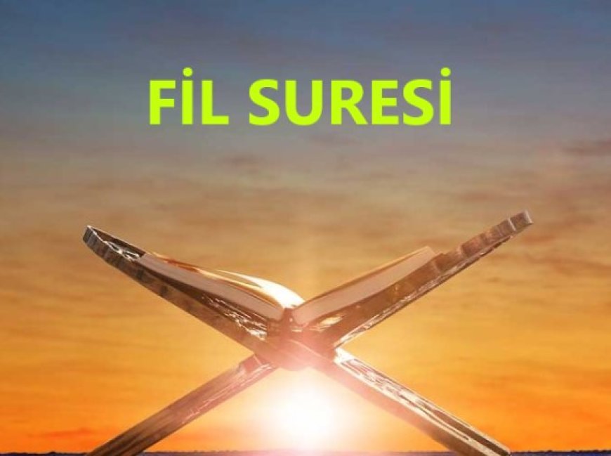 Fil Suresi Okunuşu, Anlamı ve Faziletleri - Dini Mesajlar
